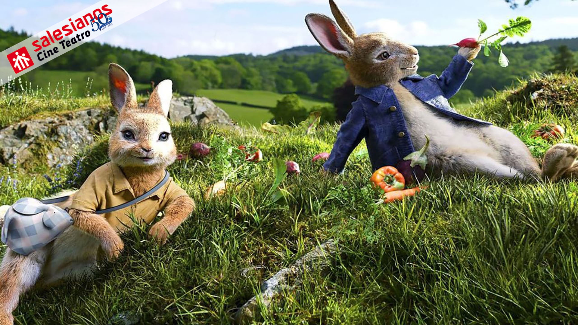 Peter Rabbit (2018), a este conejo no lo engaña nadie | Zinemaníacos